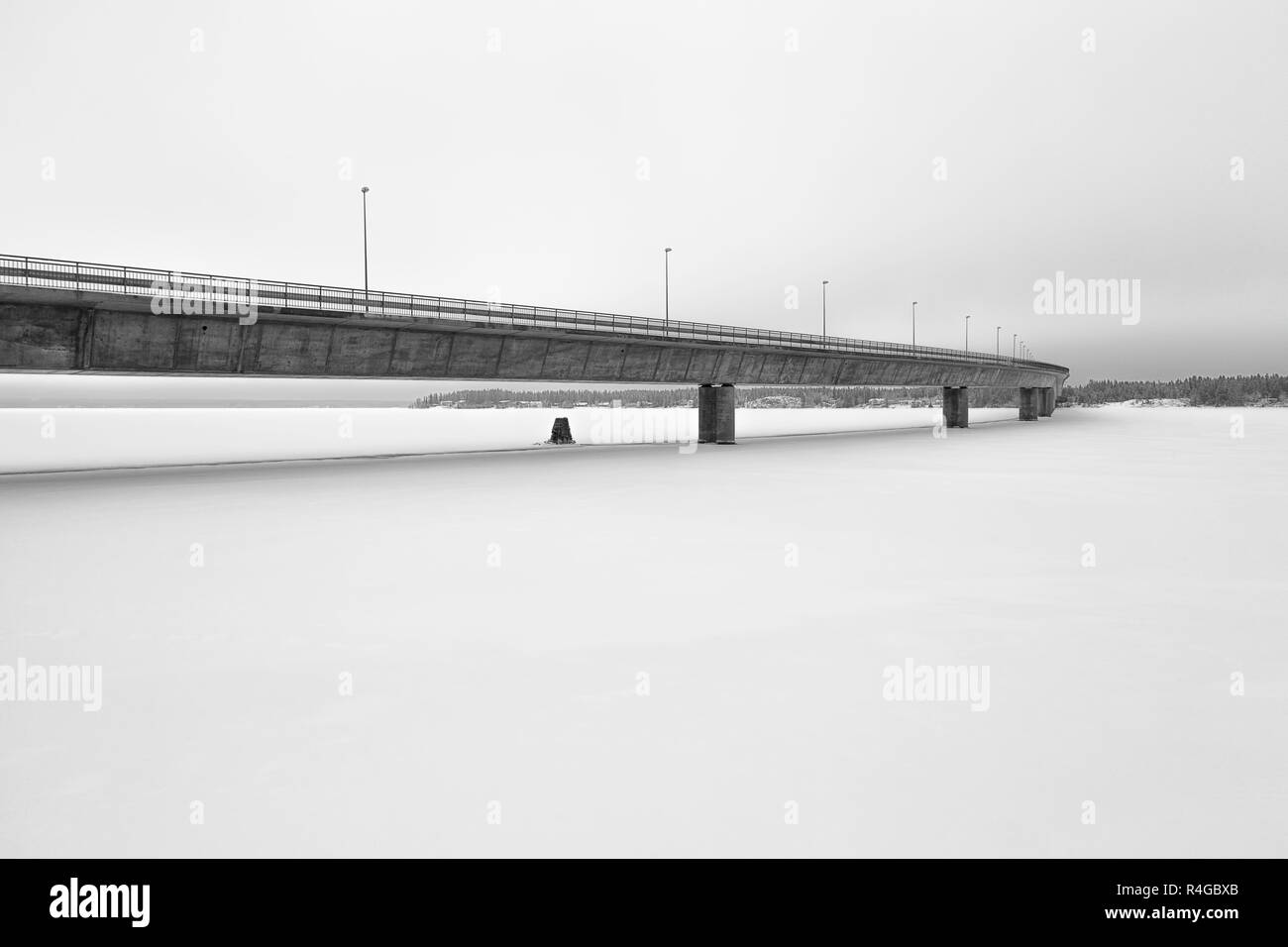 Winter trees tree over Black and White Stock Photos & Images - Alamy