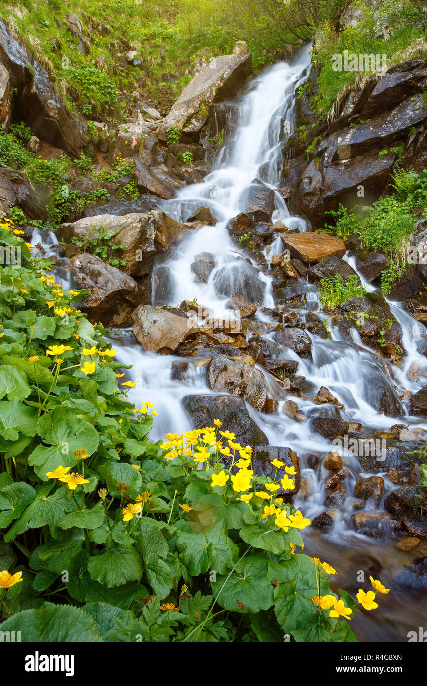 rocky Waterfall in summer forest Stock Photo - Alamy