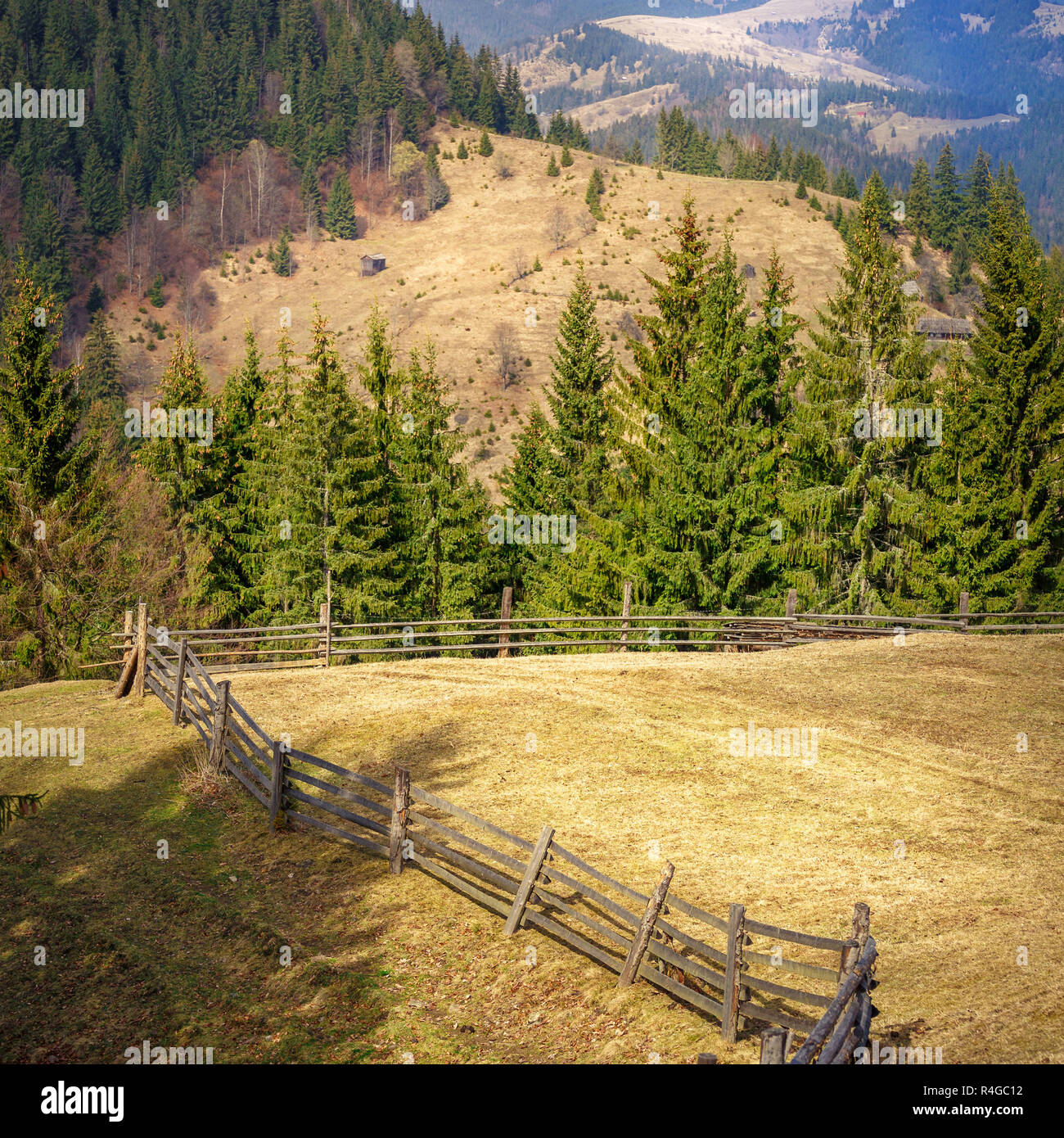 Light barring hi-res stock photography and images - Alamy