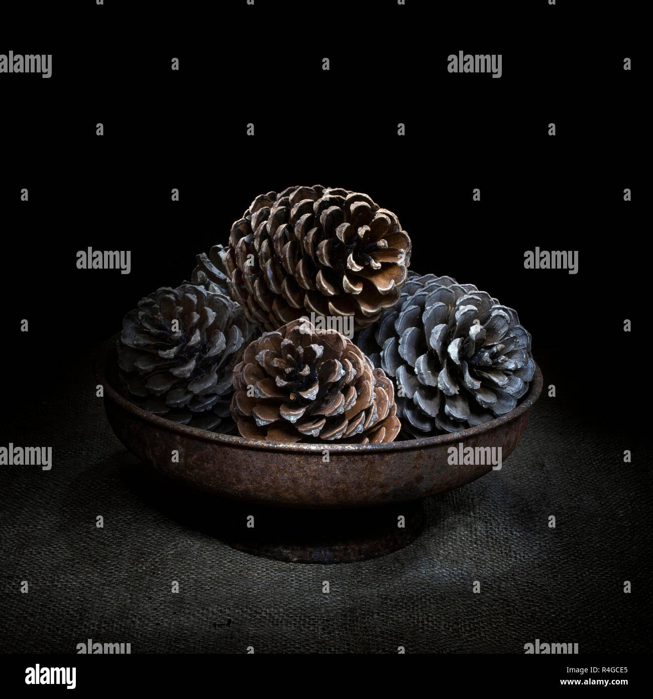 Still life with cones hi-res stock photography and images - Alamy