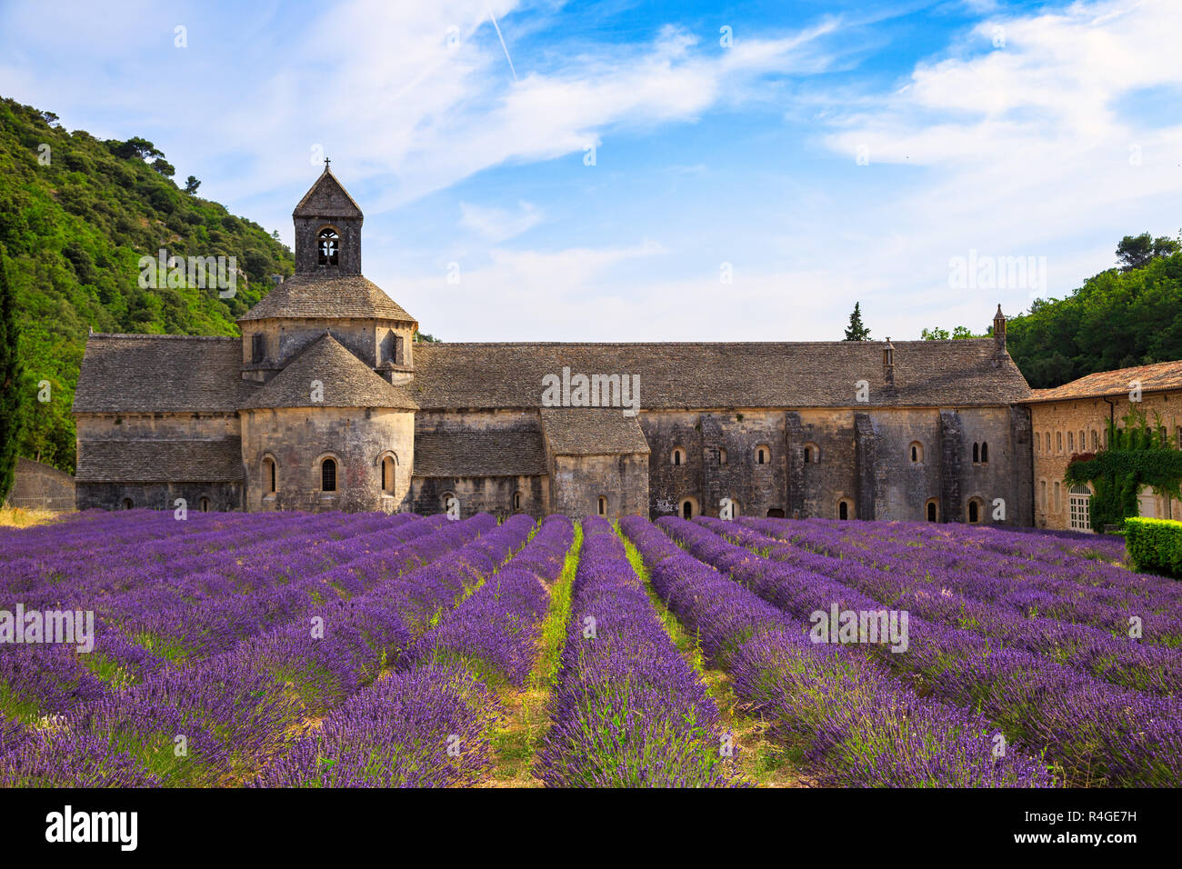 Abbey of Senanque Stock Photo - Alamy