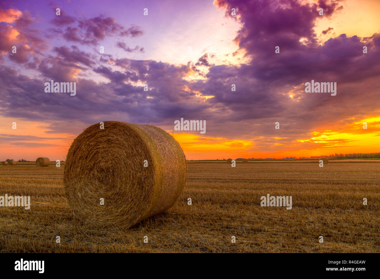 Sunset over farm field with hay bales Stock Photo - Alamy