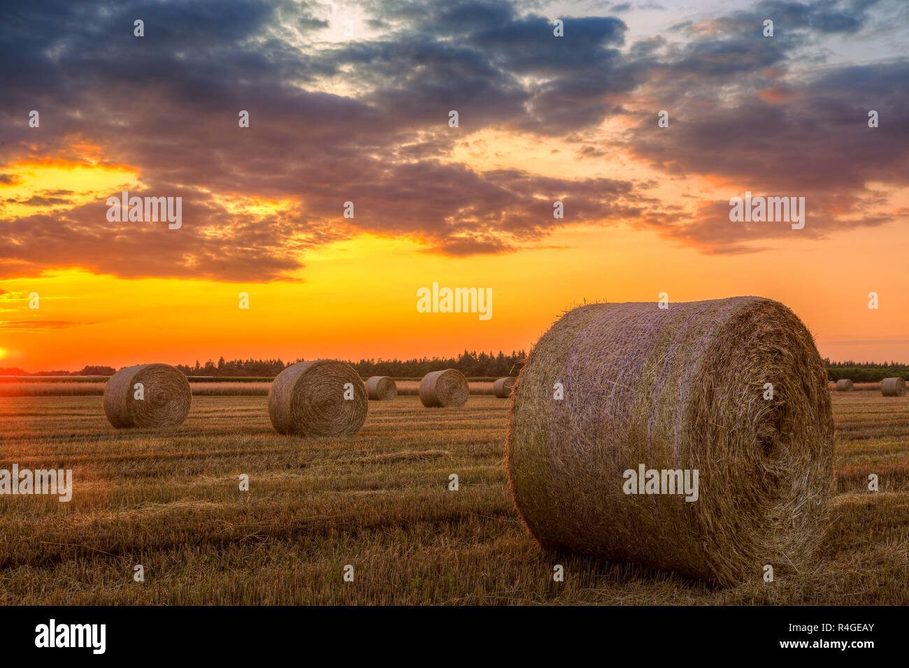 Sunset over farm field with hay bales Stock Photo - Alamy
