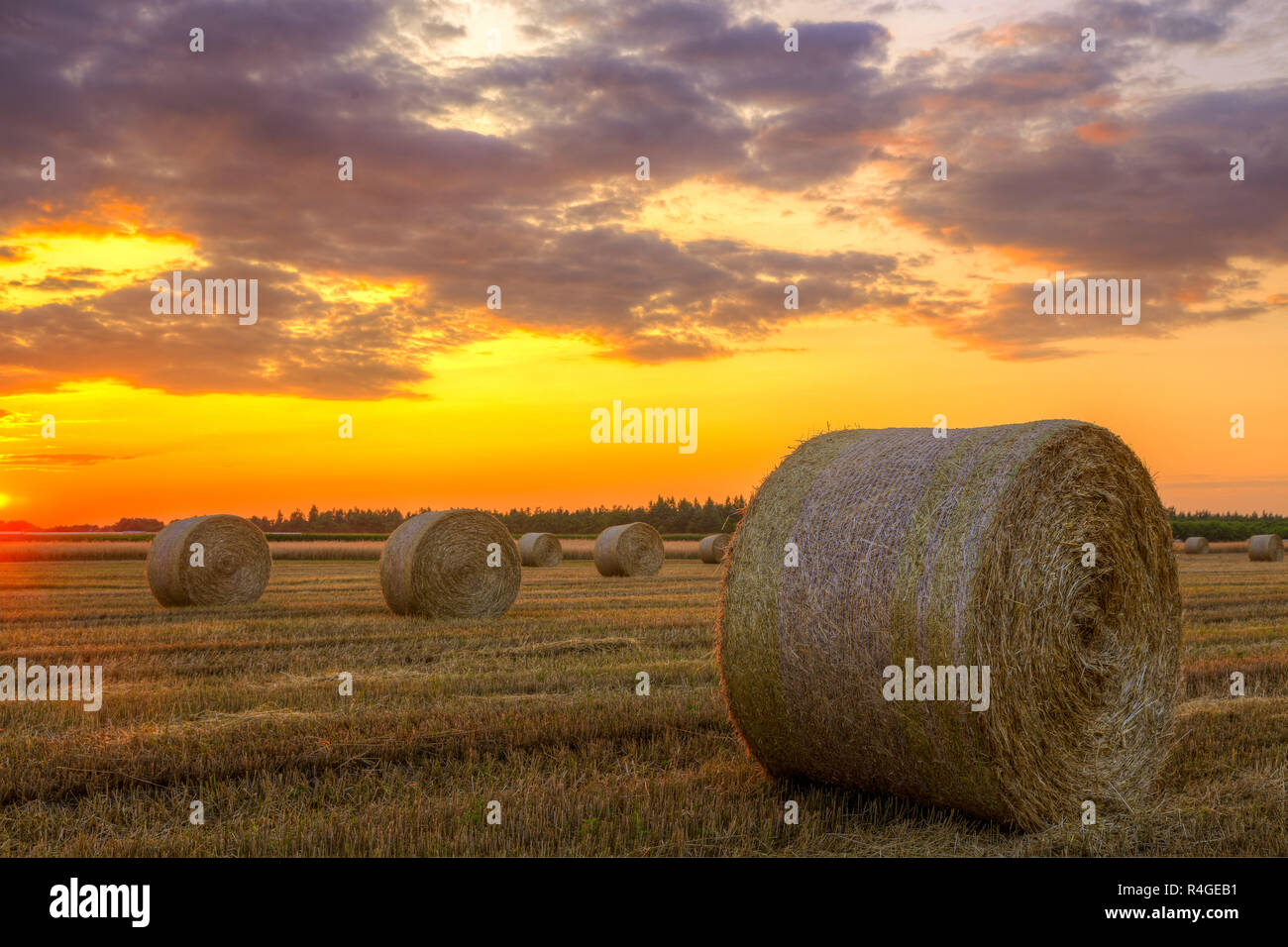 Sunset over farm field with hay bales Stock Photo - Alamy
