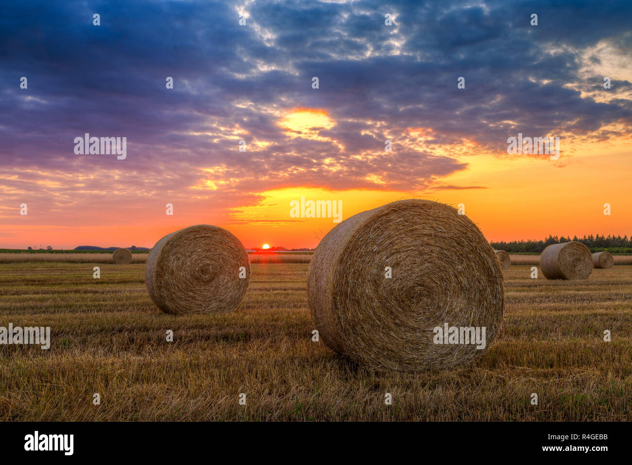 Sunset over farm field with hay bales Stock Photo - Alamy