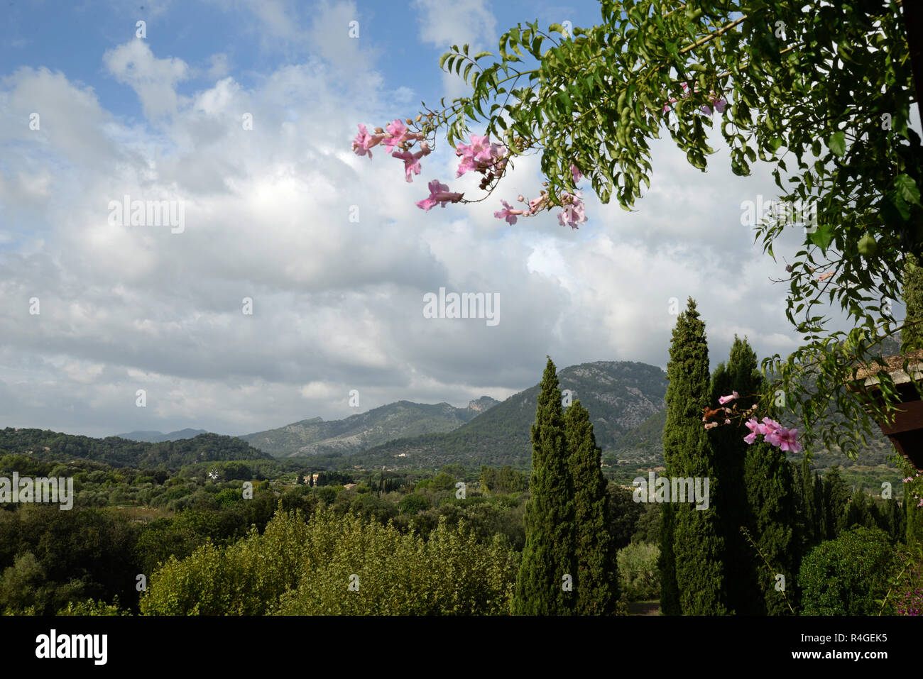 Ground scenery hi-res stock photography and images - Alamy