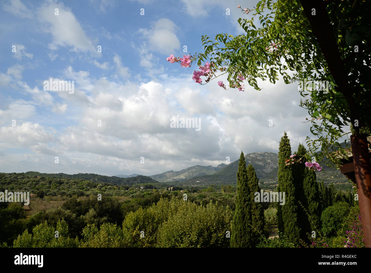 Ground scenery hi-res stock photography and images - Alamy