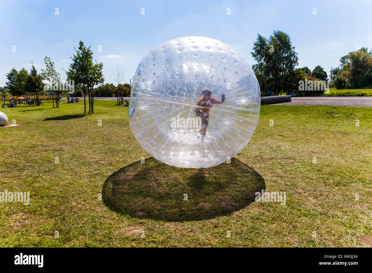 child has fun in the Zorbing Ball Stock Photo - Alamy