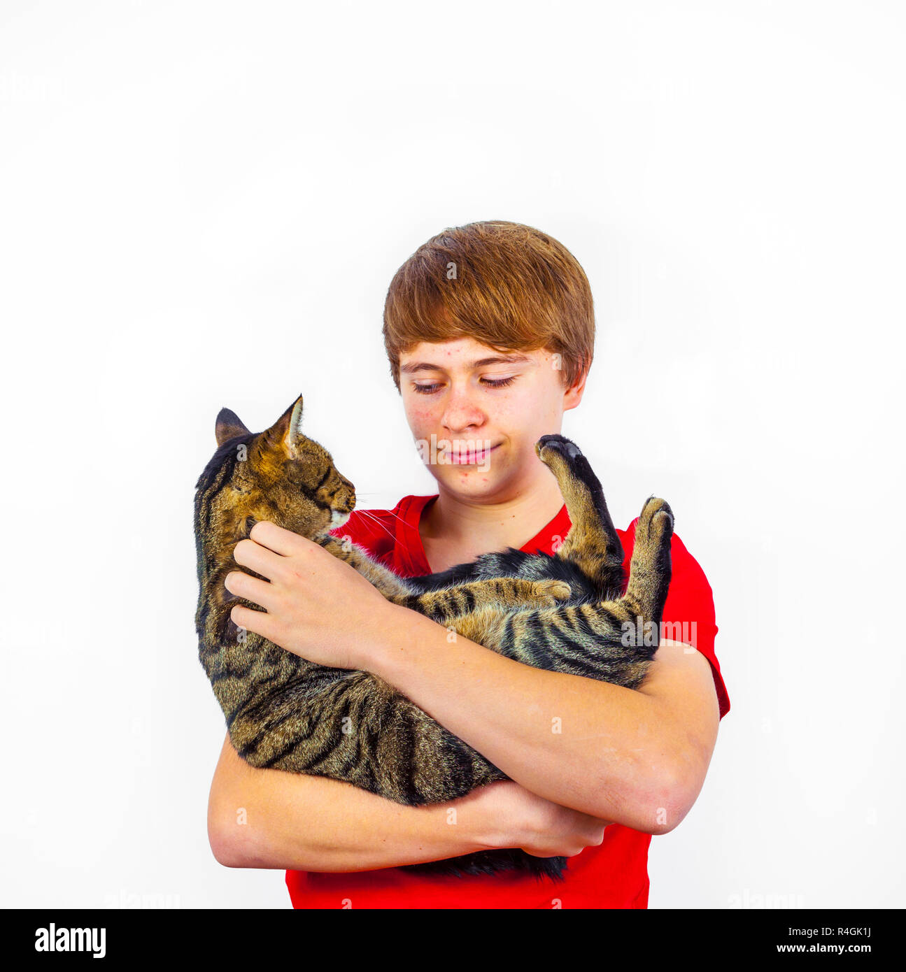 boy hugging with his cute cat Stock Photo - Alamy