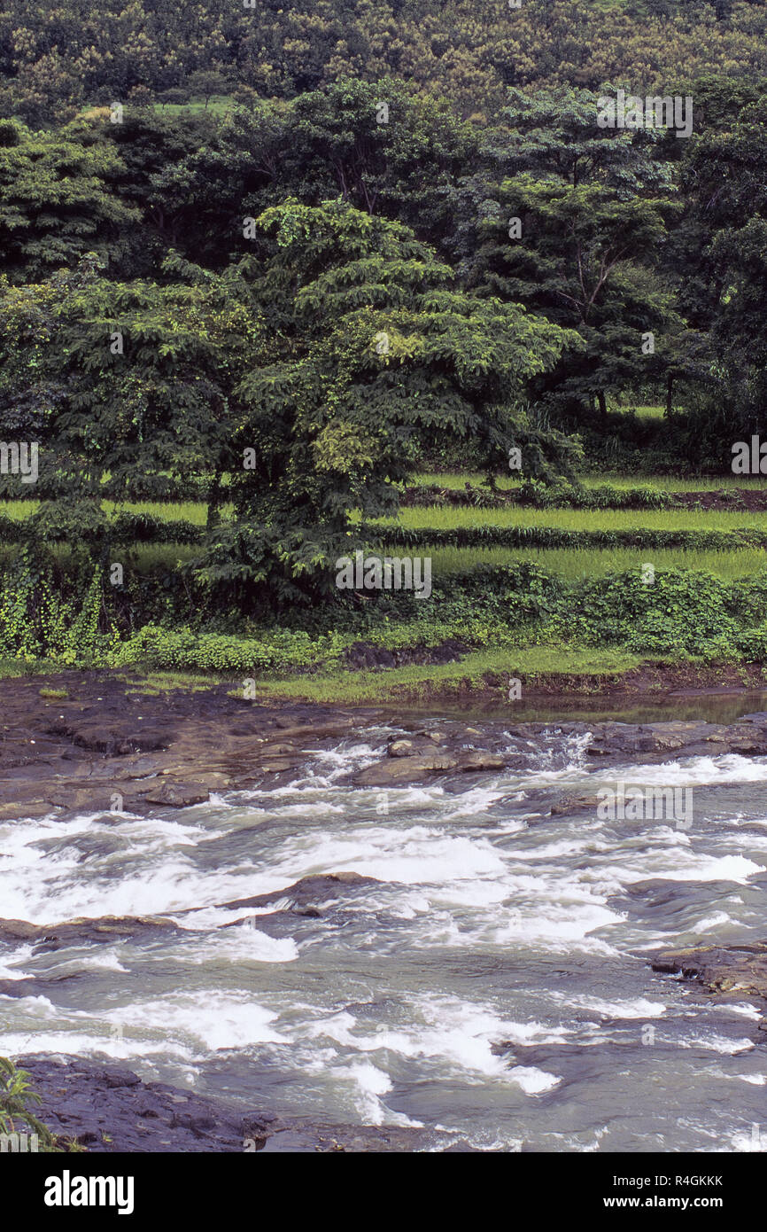 Nira maharashtra hi-res stock photography and images - Alamy