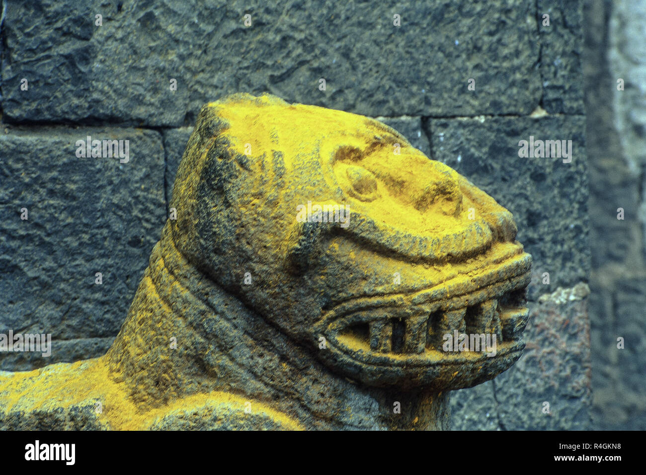 Animal head covered with turmeric powder, Jejuri, Pune, Maharashtra ...