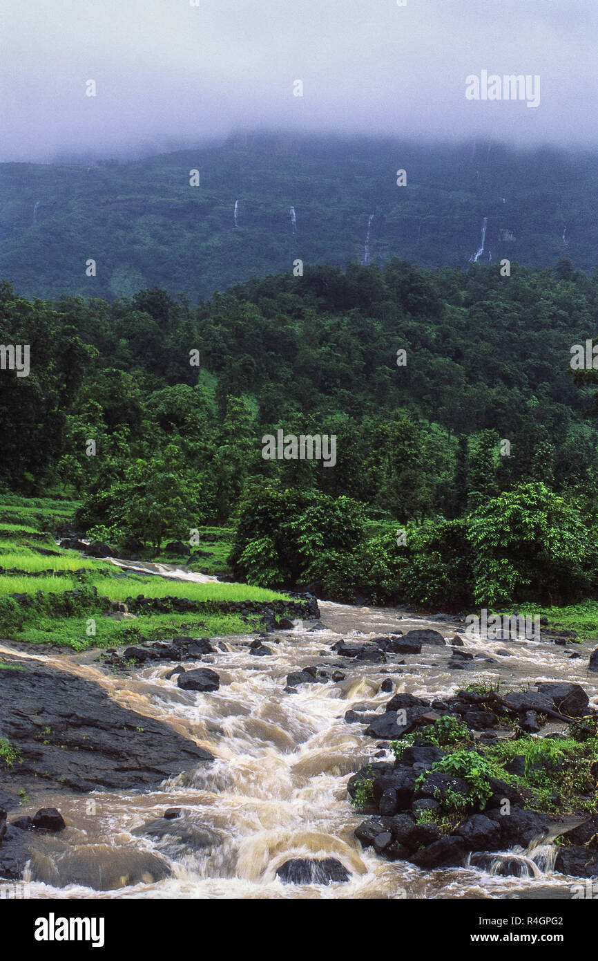 Landscape with river, Malshej Ghat, Western Ghats, Maharashtra, India ...