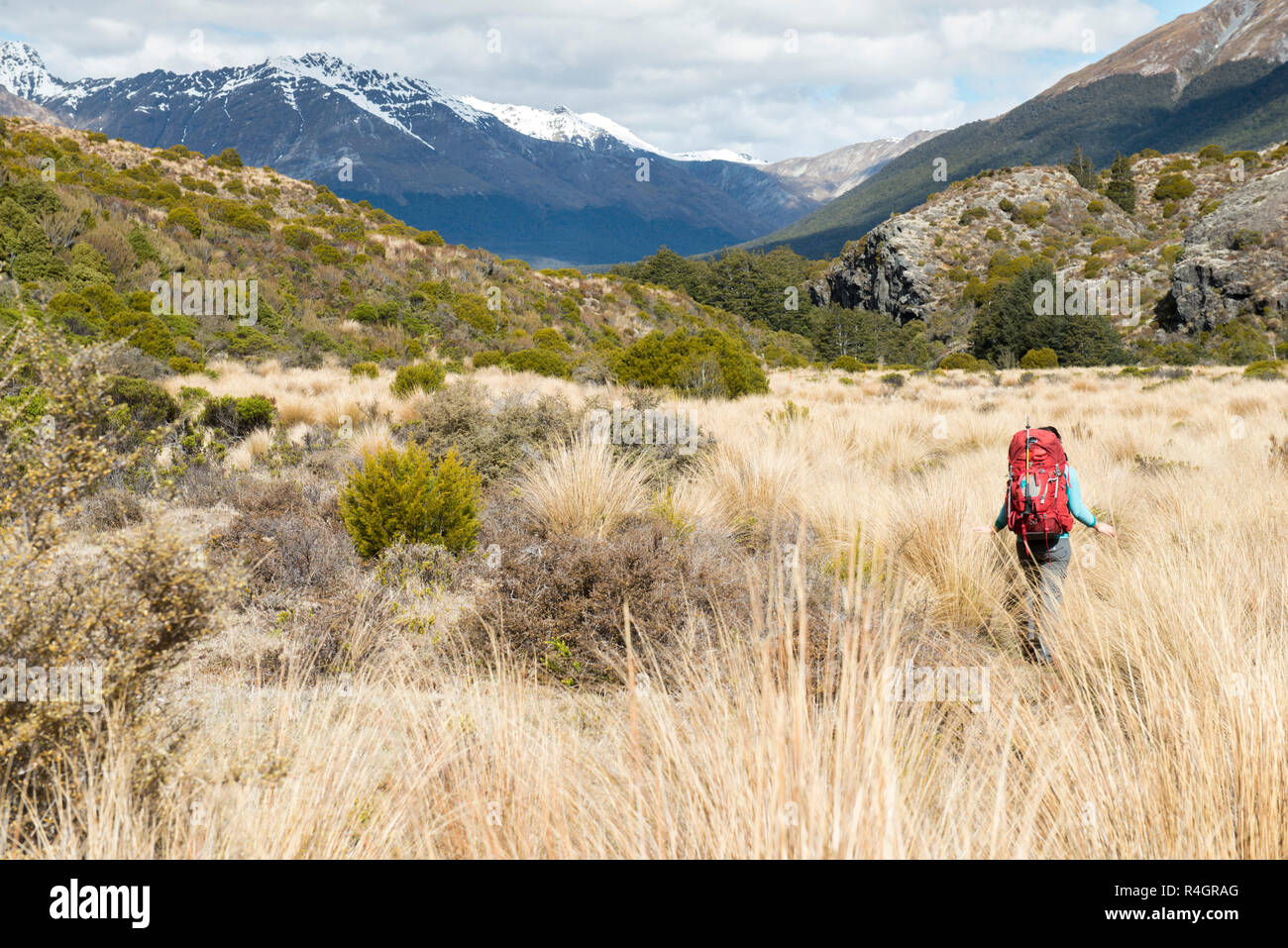 Greenstone new zealand hi-res stock photography and images - Alamy