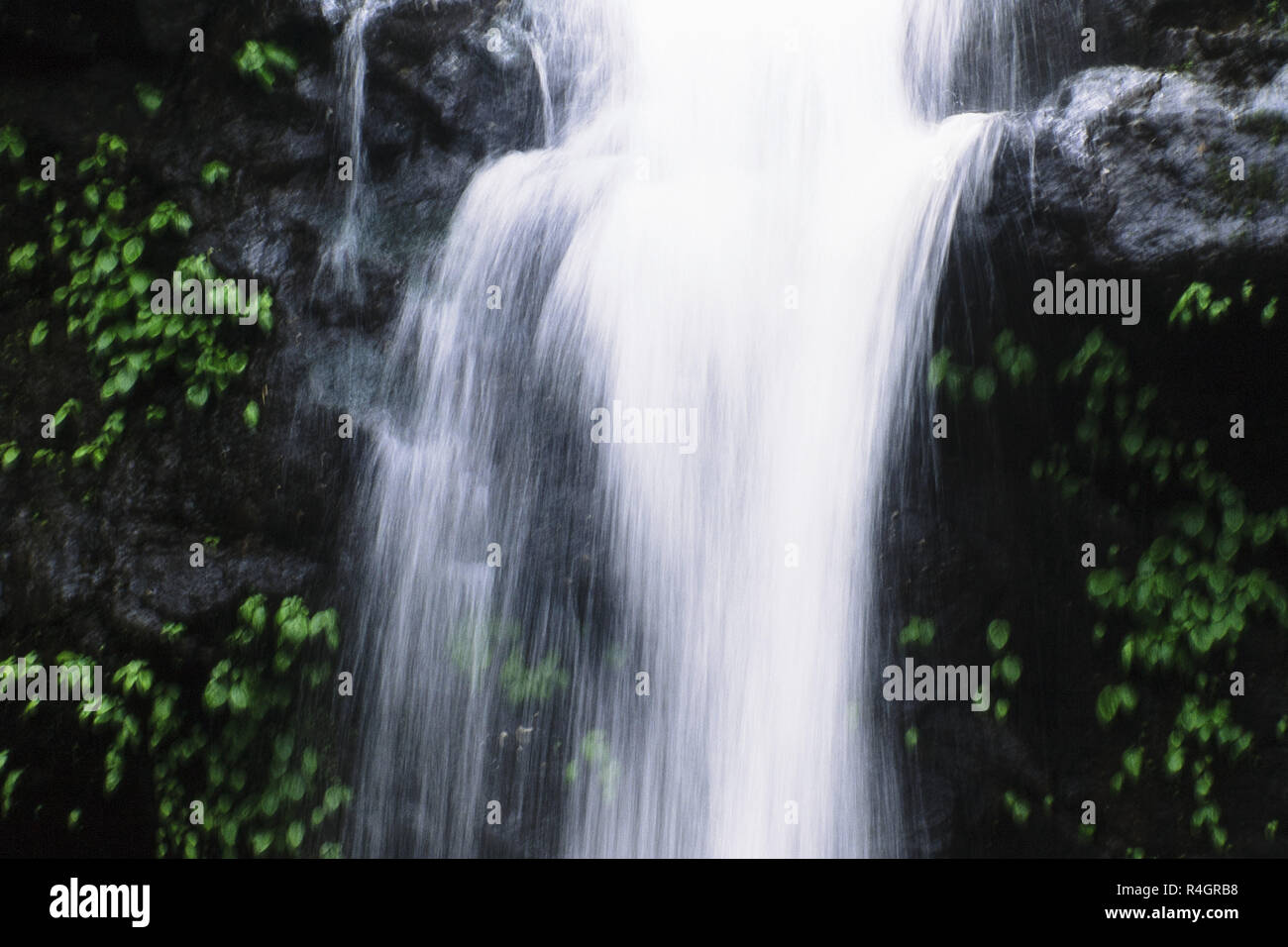 Waterfall at Malshej Ghat, Maharashtra, India, Asia Stock Photo - Alamy