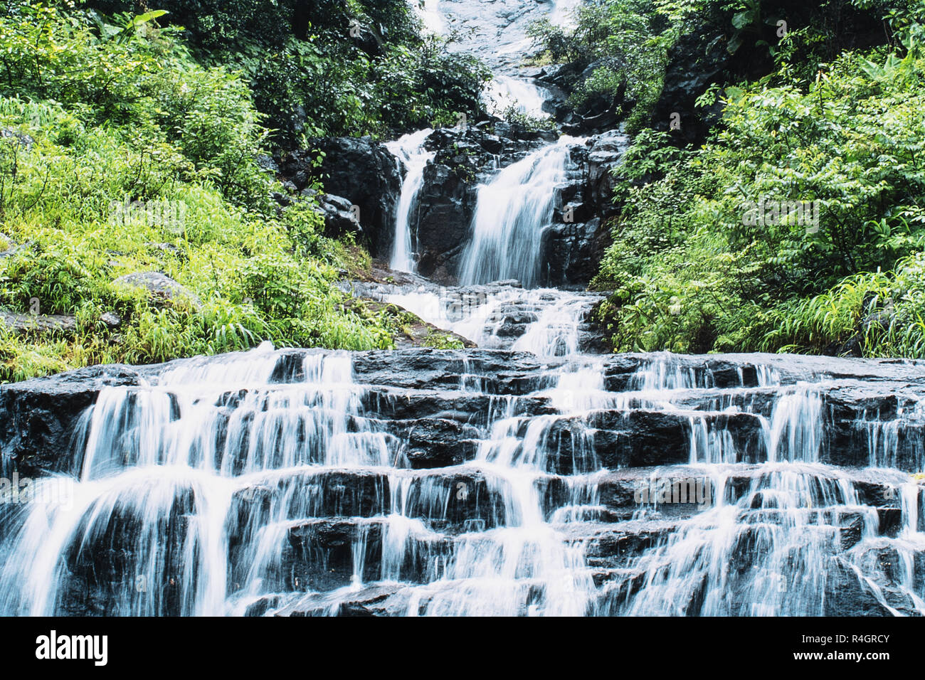 Waterfall, Malshej Ghat, Maharashtra, India, Asia Stock Photo - Alamy