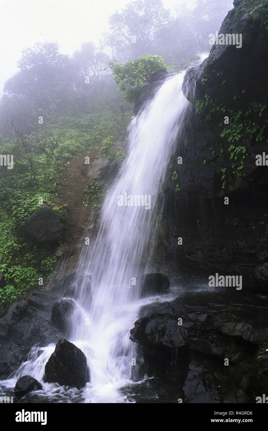View of waterfall at Malshej Ghat, Maharashtra, India, Asia Stock Photo ...