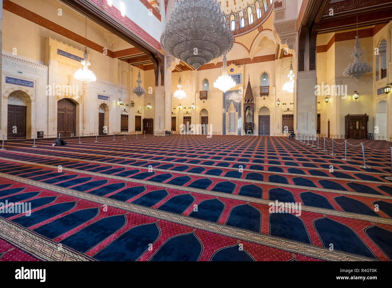 Mohamed al amin hi-res stock photography and images - Alamy