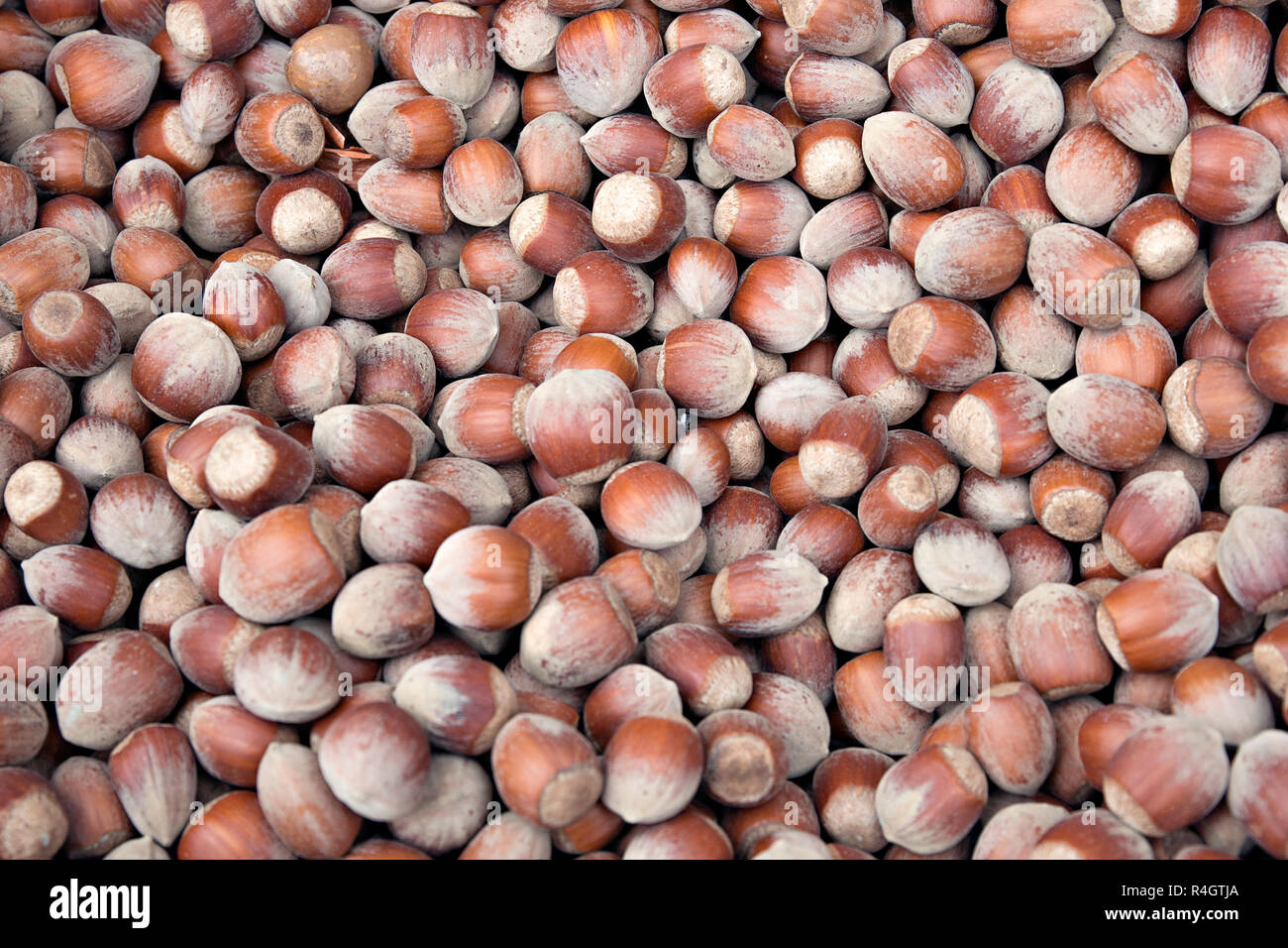 Unshelled hazelnuts. Food background Stock Photo - Alamy