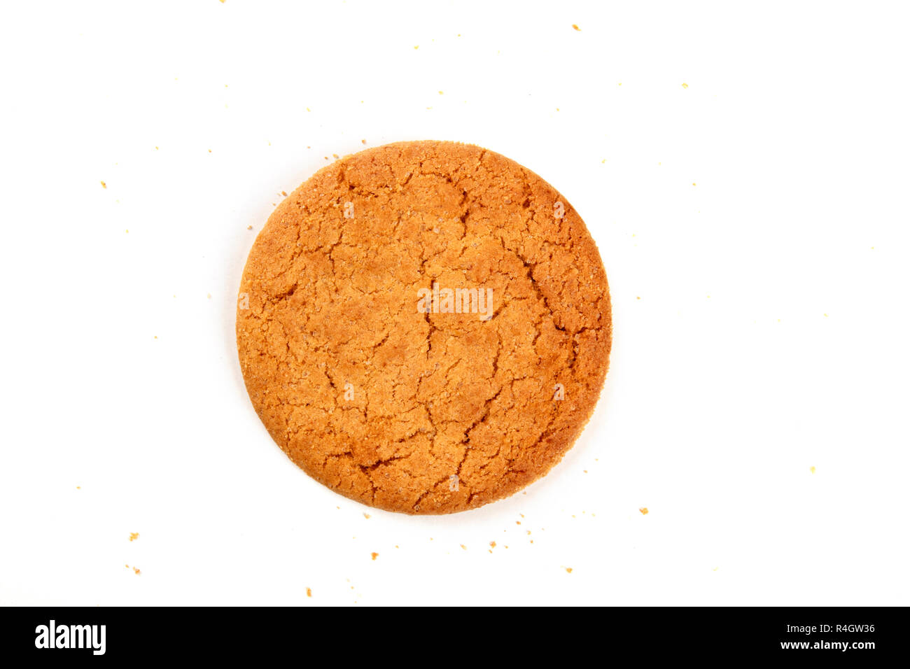 An overhead photo of a single ginger cookie on a white background with ...