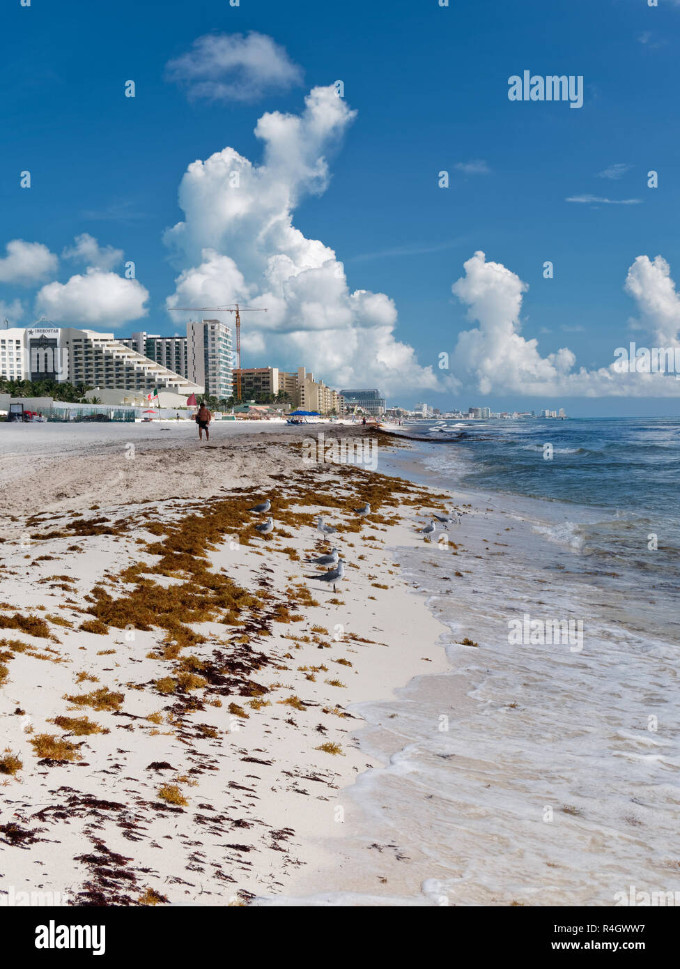 Cancun landscape hi-res stock photography and images - Alamy