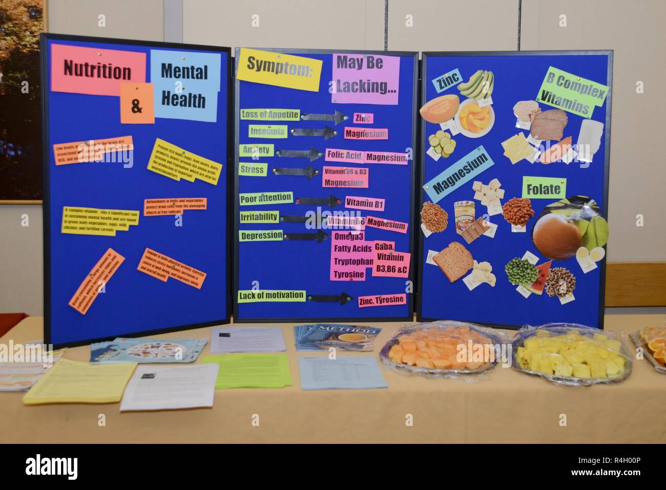 Visitors to the NMCP Mental Health/Suicide Awareness Health Fair ...