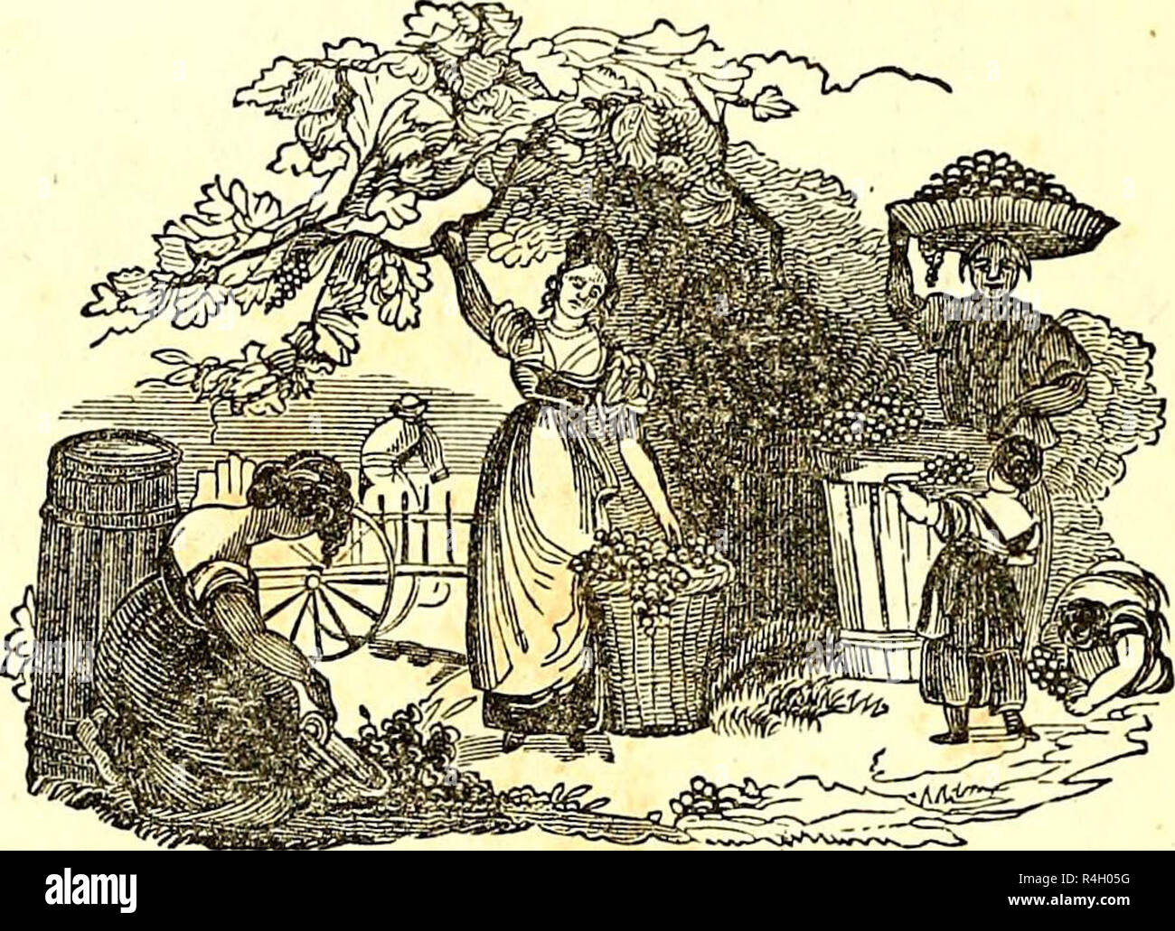 "Peter Parley's common school history. Illustrated by engravings" (1857 ...