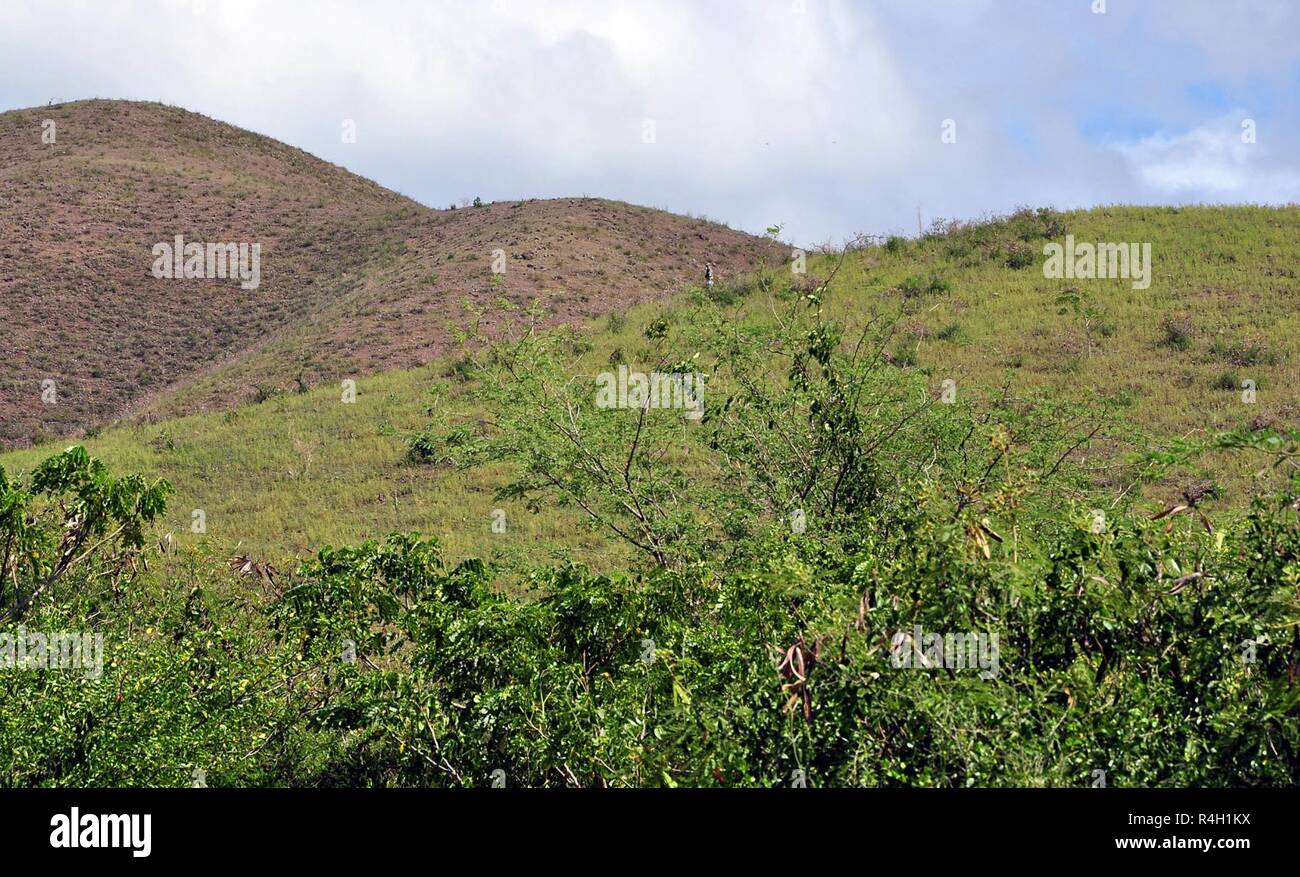 Camp Santiago Joint Training Center hosted a group of 115 cadets and 11 ...