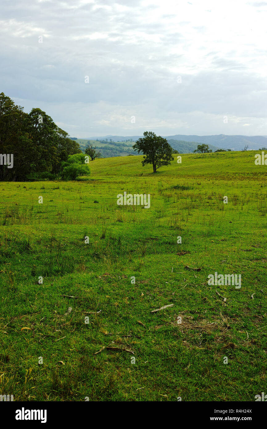 Mountain valley landscape, Australia Stock Photo - Alamy