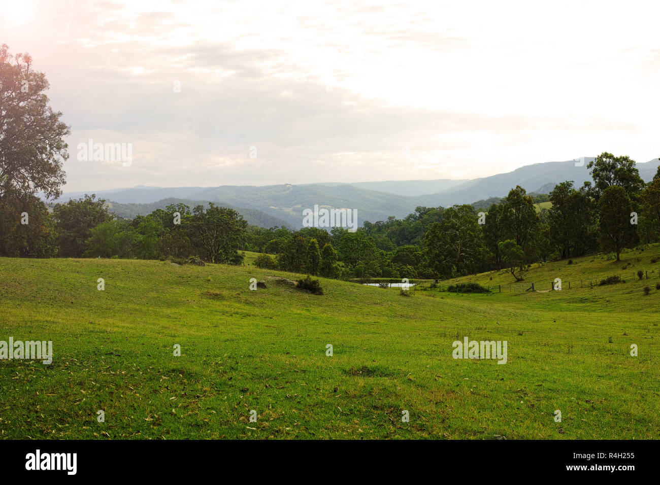 Mountain valley landscape, Australia Stock Photo - Alamy