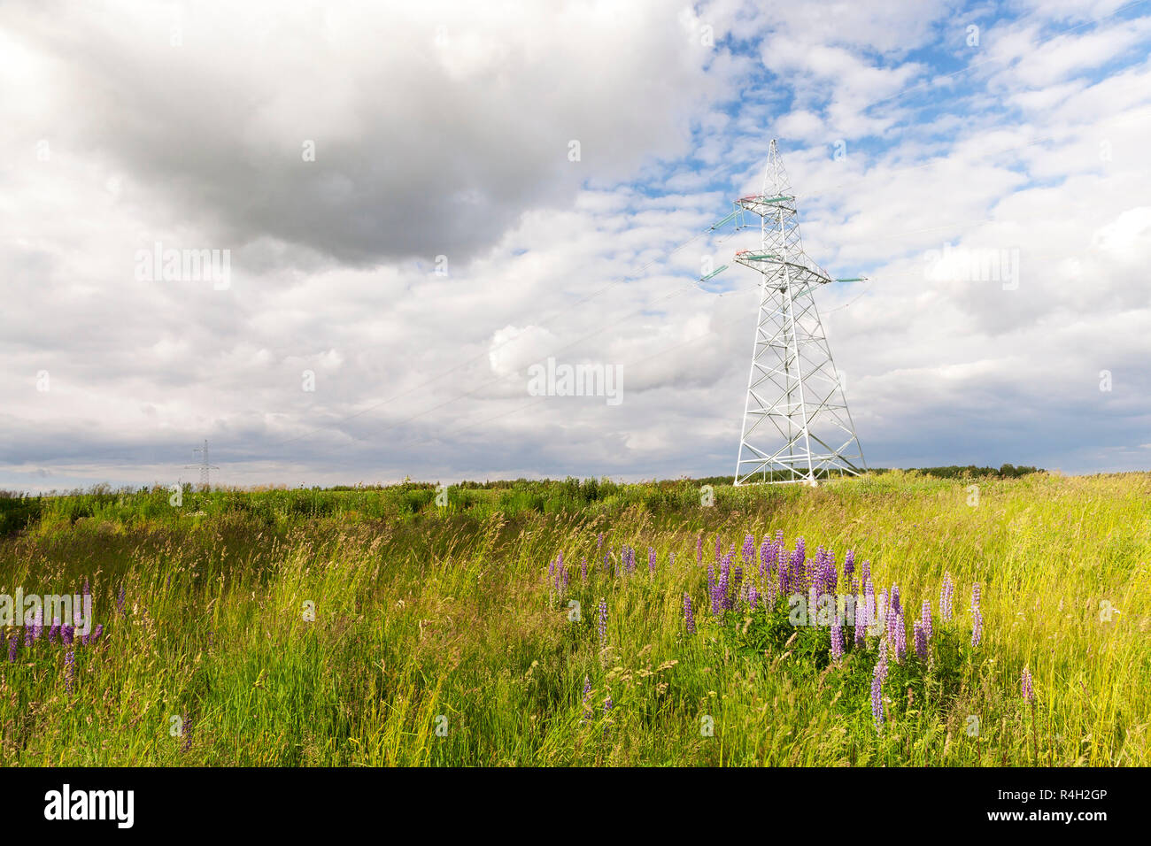 electric pole, field Stock Photo - Alamy