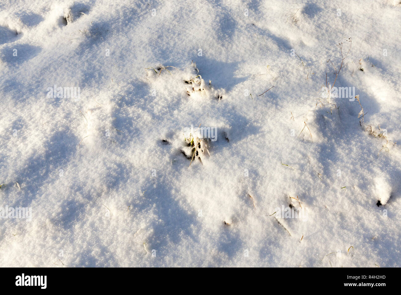 bumps in the snow, winter Stock Photo - Alamy