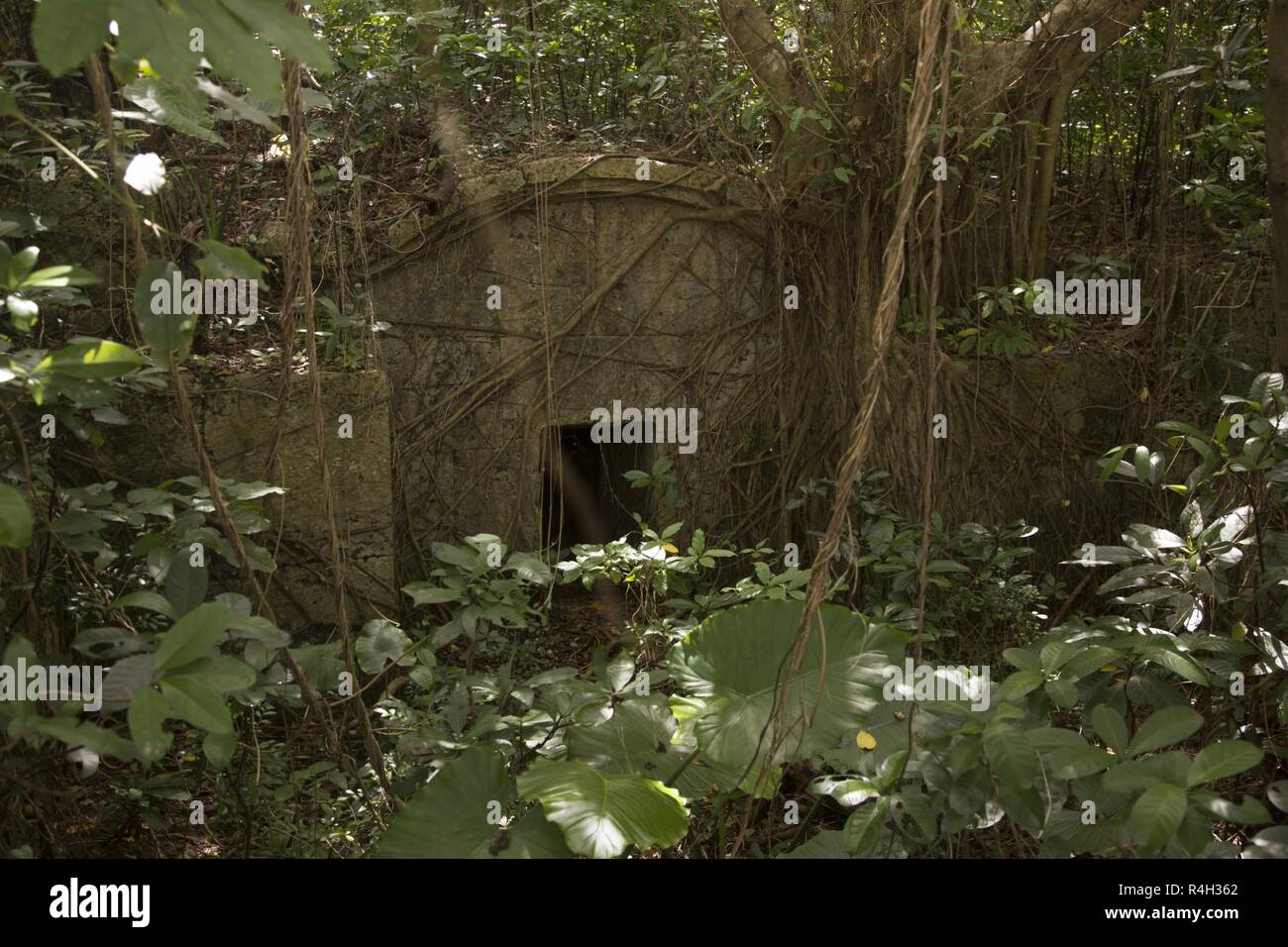 A photo of an open turtle-back tomb on Marine Corps Air Station Futenma ...