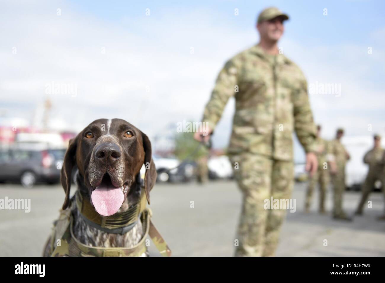 Msrt east hi-res stock photography and images - Alamy