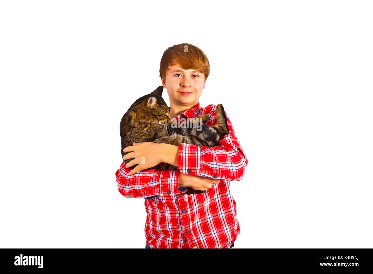 cute boy hugging with his cat Stock Photo - Alamy