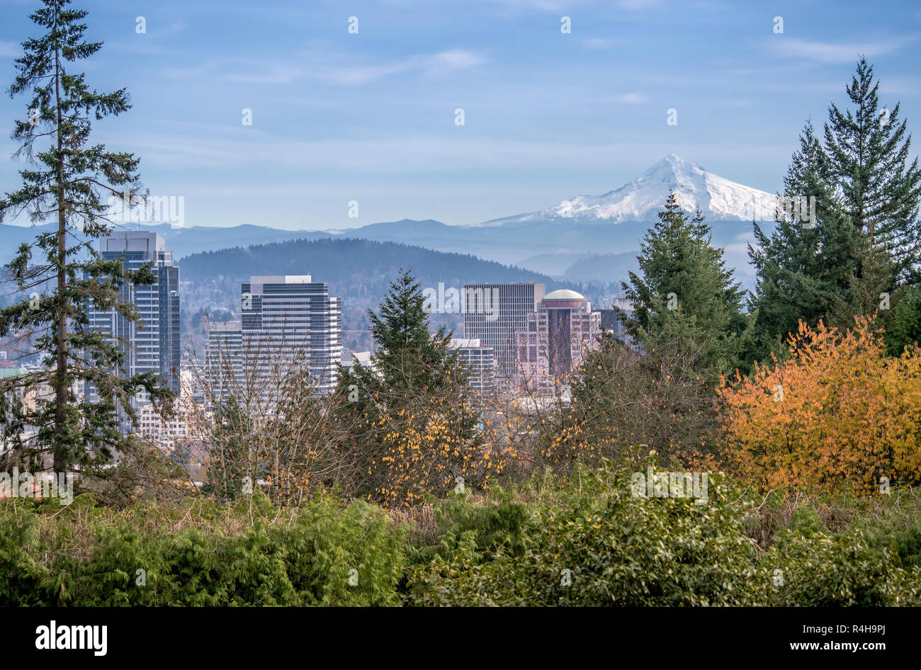 Portland Oregon skyline plants trees and Mt. Hood Stock Photo - Alamy