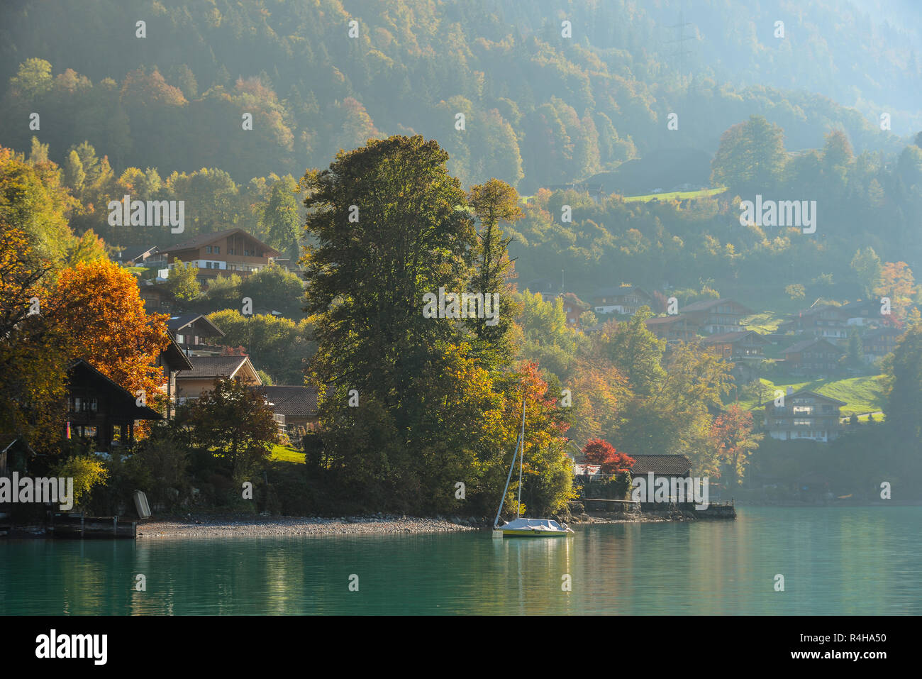 Beautiful scenery of Lake Brienz, Switzerland. The turquoise Lake ...
