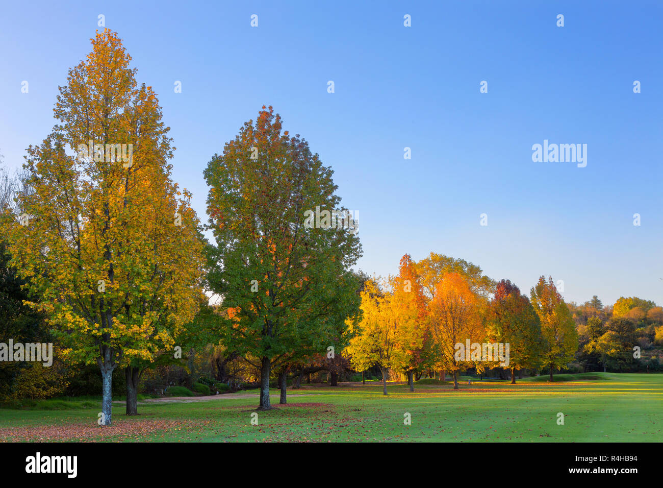 South africa autumn hi-res stock photography and images - Alamy
