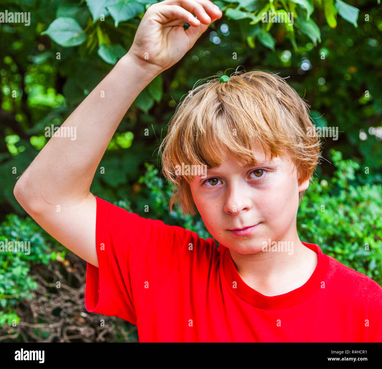 smiling happy young boy Stock Photo - Alamy smiling happy young boy Stock Photo - Alamy