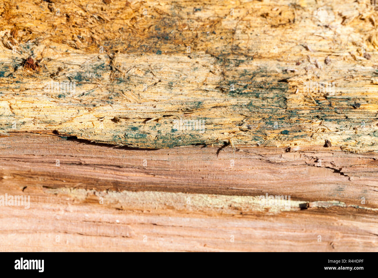 old split wood Stock Photo - Alamy