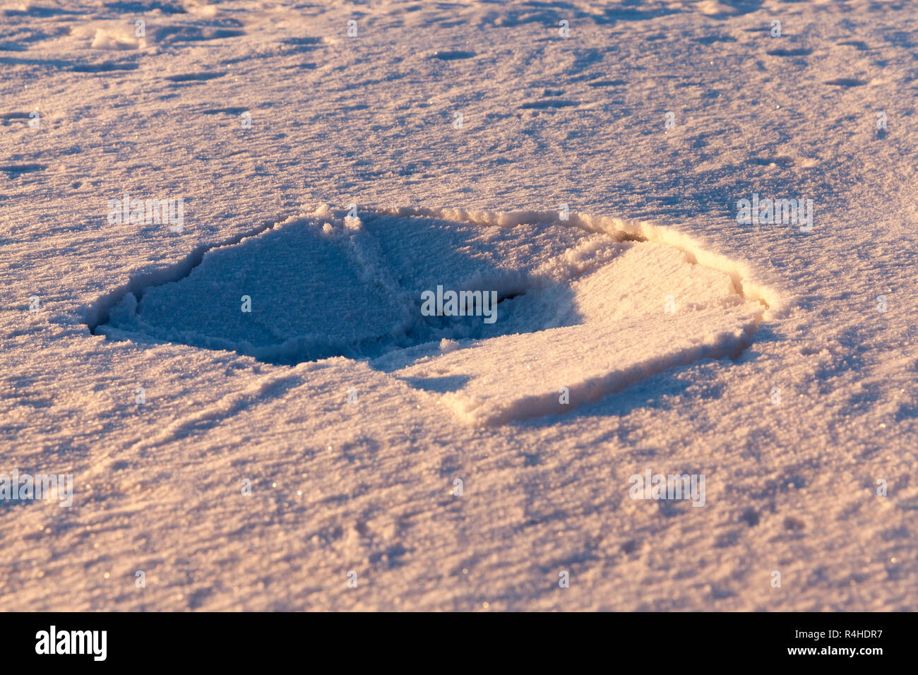 tracks in the snow Stock Photo - Alamy