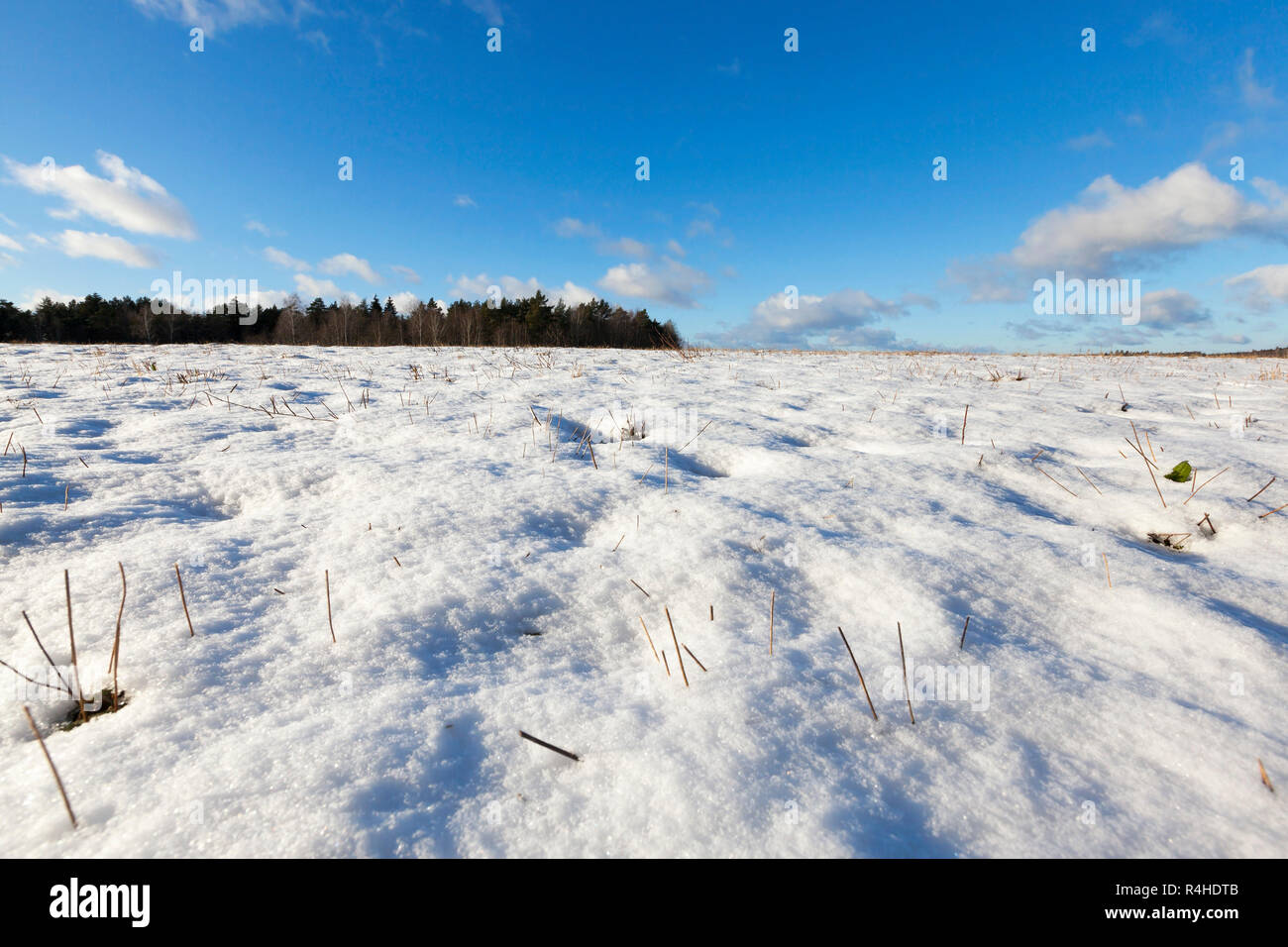 field covered with snow Stock Photo - Alamy