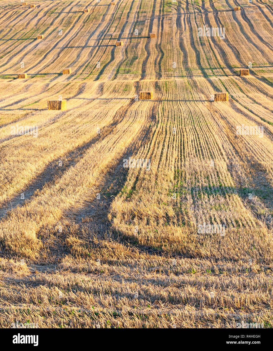 Crop performance hi-res stock photography and images - Alamy