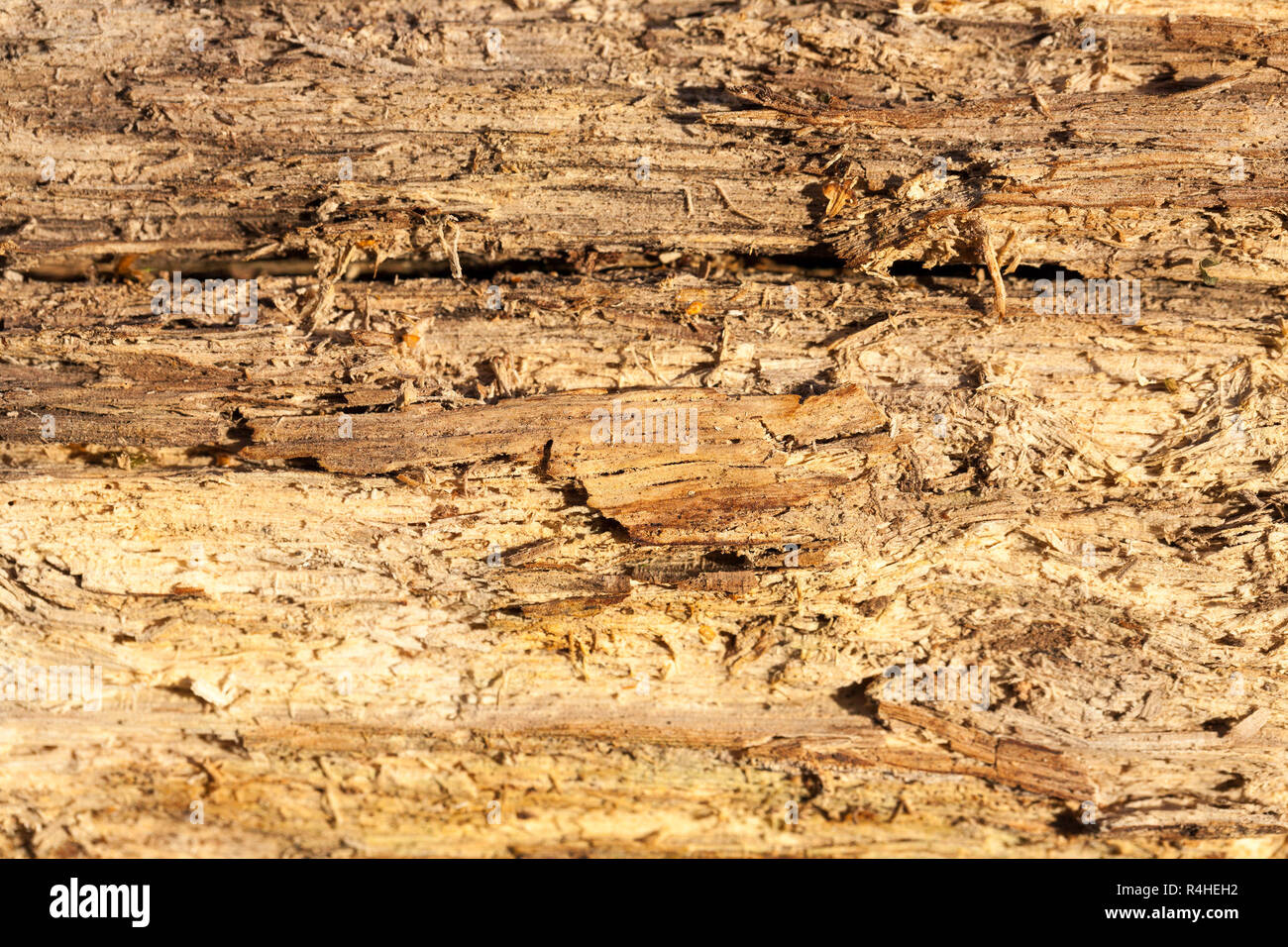 old split wood Stock Photo - Alamy