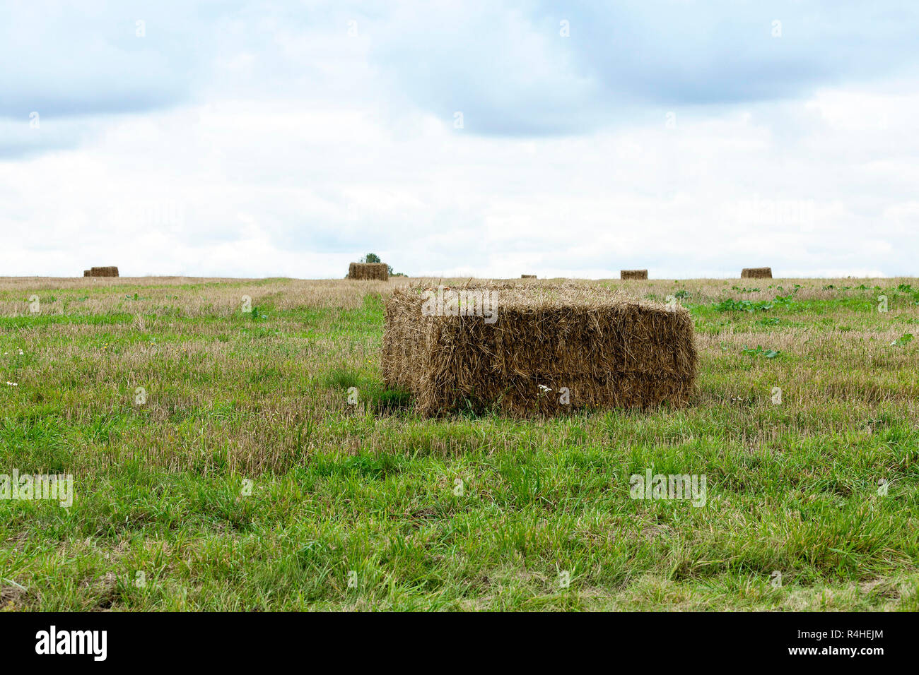 square haystack closeup Stock Photo - Alamy