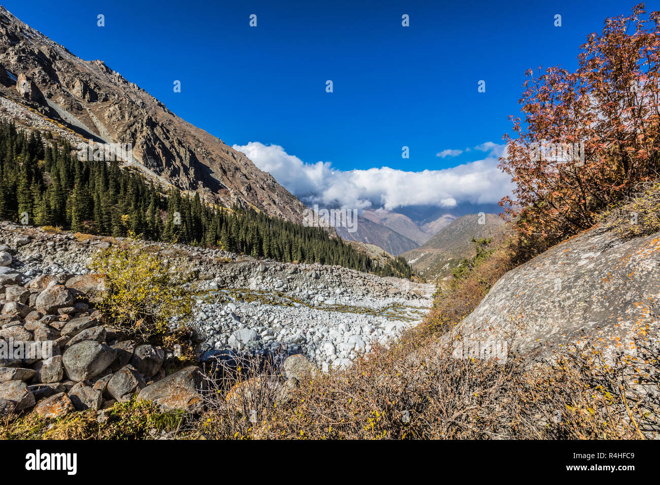 The panorama of mountain landscape of Ala-Archa gorge in the summer's ...