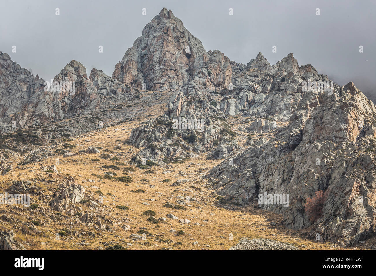The panorama of mountain landscape of Ala-Archa gorge in the summer's ...