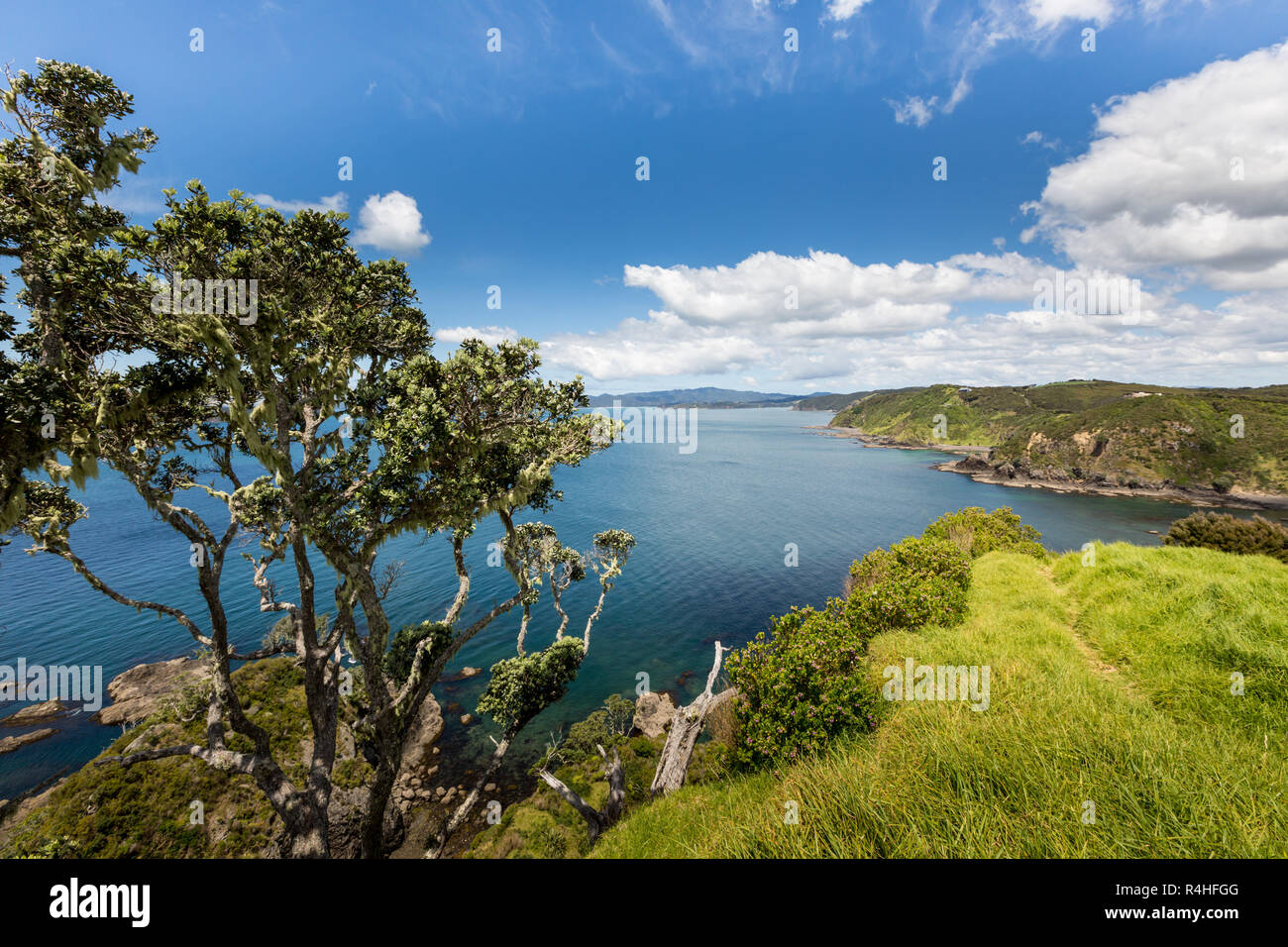 Paihia harbor hi-res stock photography and images - Alamy