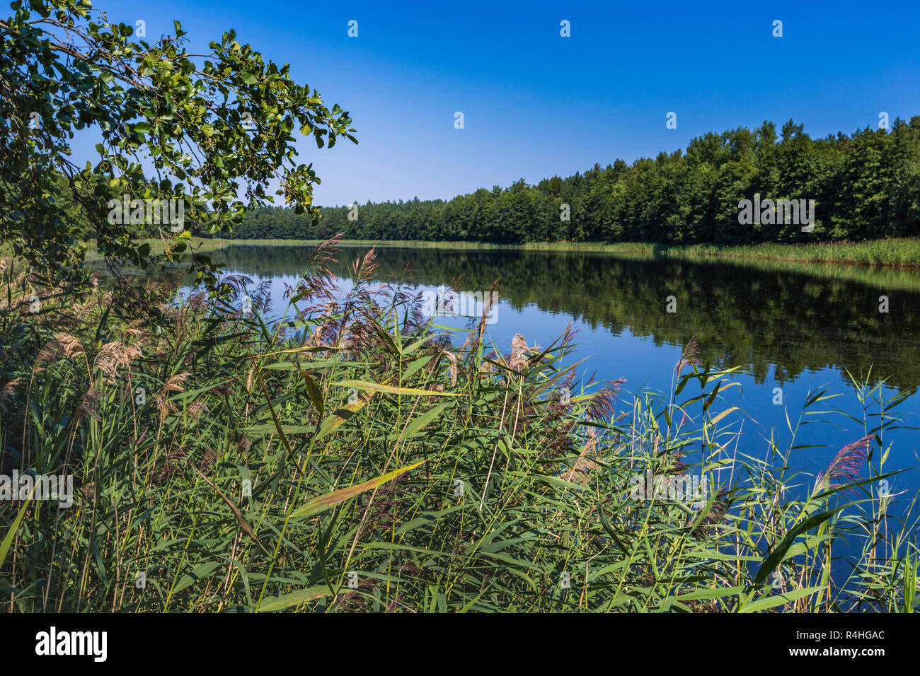 Wydminy lake on Masuria in Poland Stock Photo - Alamy