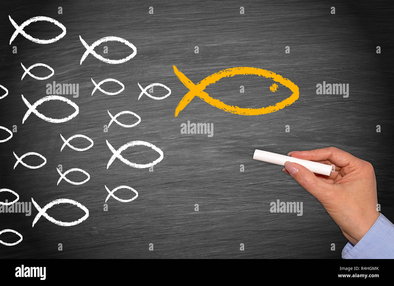 Leadership und Followers - Fische Konzept Tafel Stock Photo - Alamy