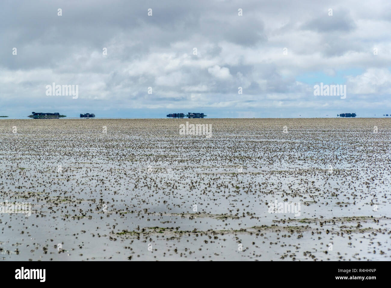 Nordfriesland, Warften of the Hallig Langeness in the mud flats ...